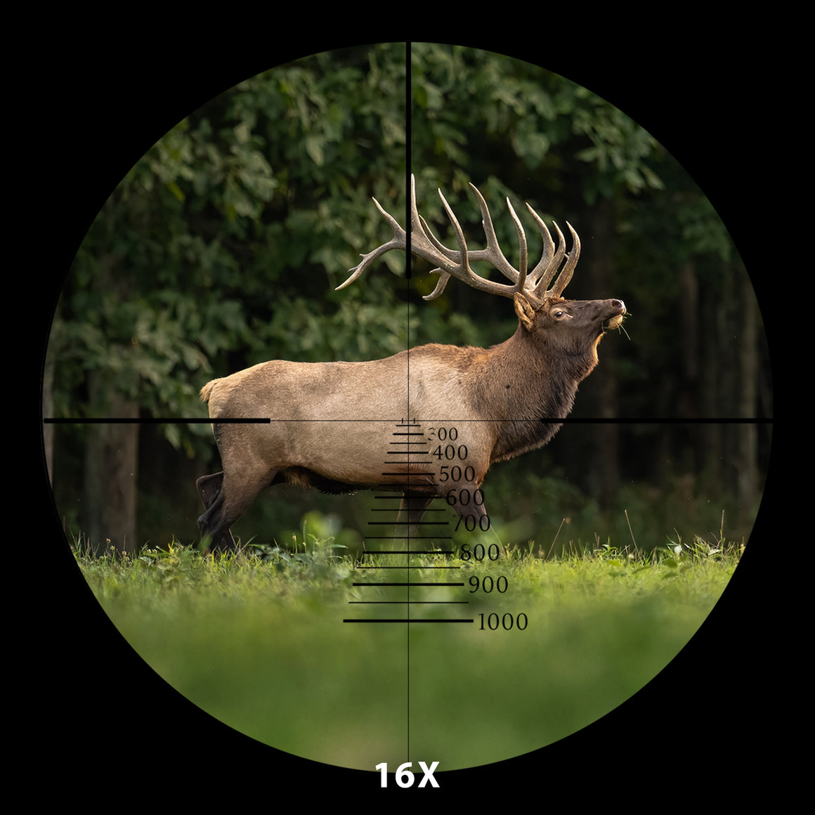 4-16x Second Focal Plane Scope – Quigley-Ford