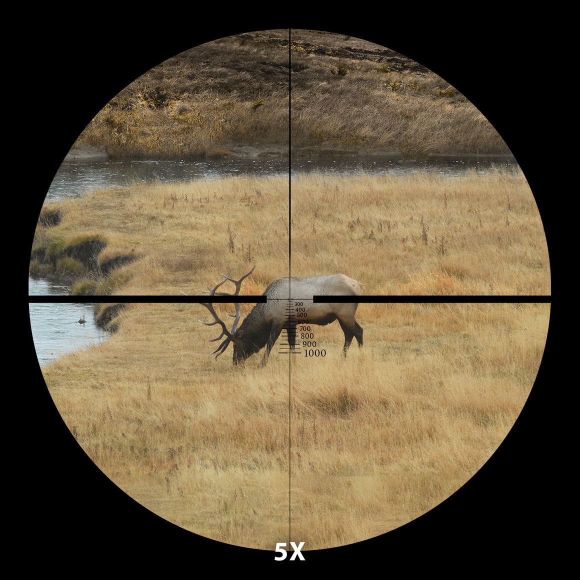 5-20X Dual Focal Plane Scope – Quigley-Ford