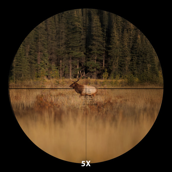 5-20X First Focal Plane Scope – Quigley-Ford