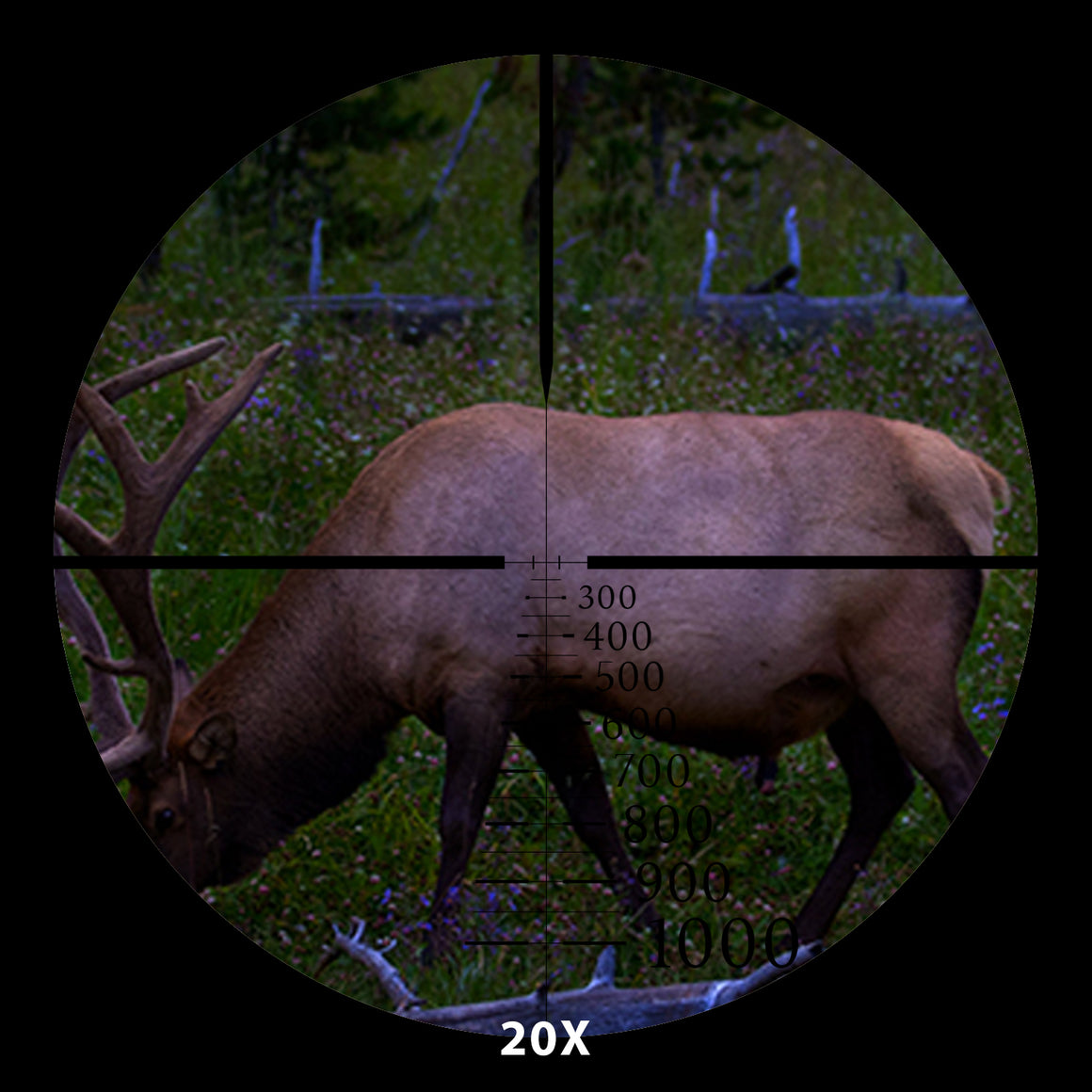 5-20X Dual Focal Plane Scope – Quigley-Ford