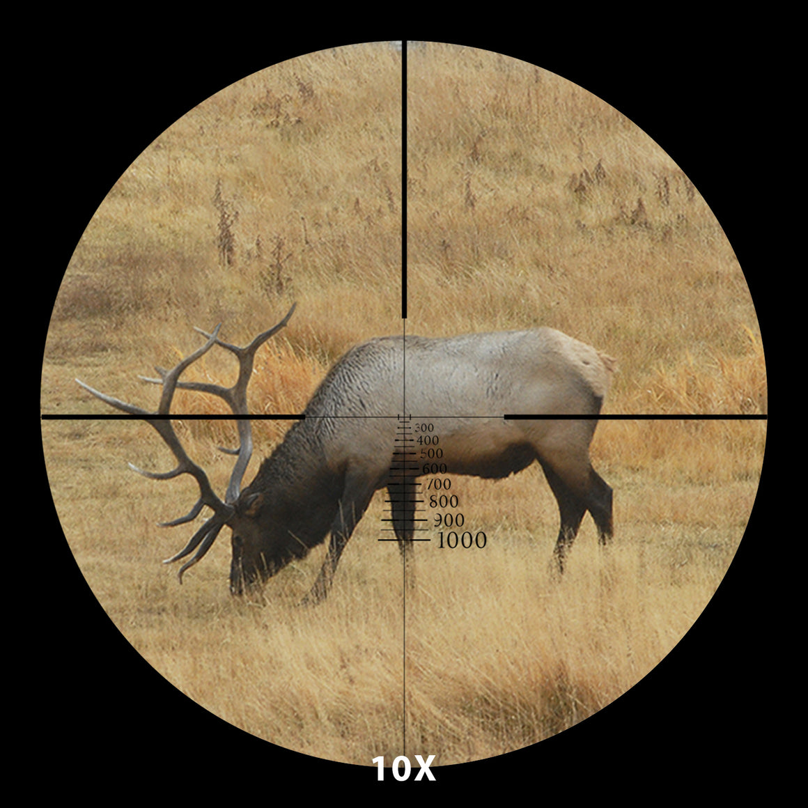 5-20X First Focal Plane Scope – Quigley-Ford