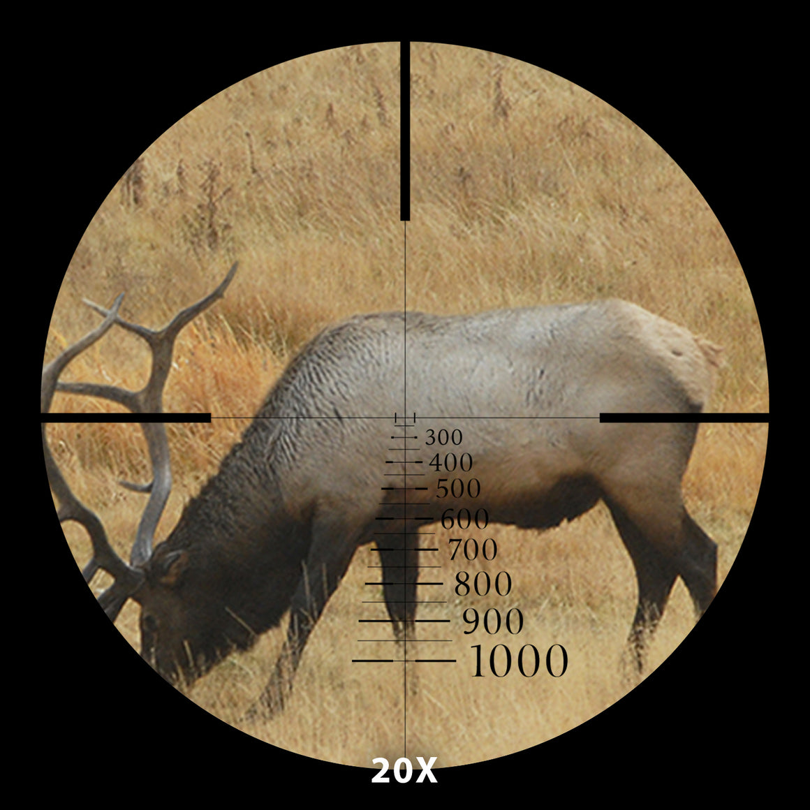 5-20X First Focal Plane Scope – Quigley-Ford