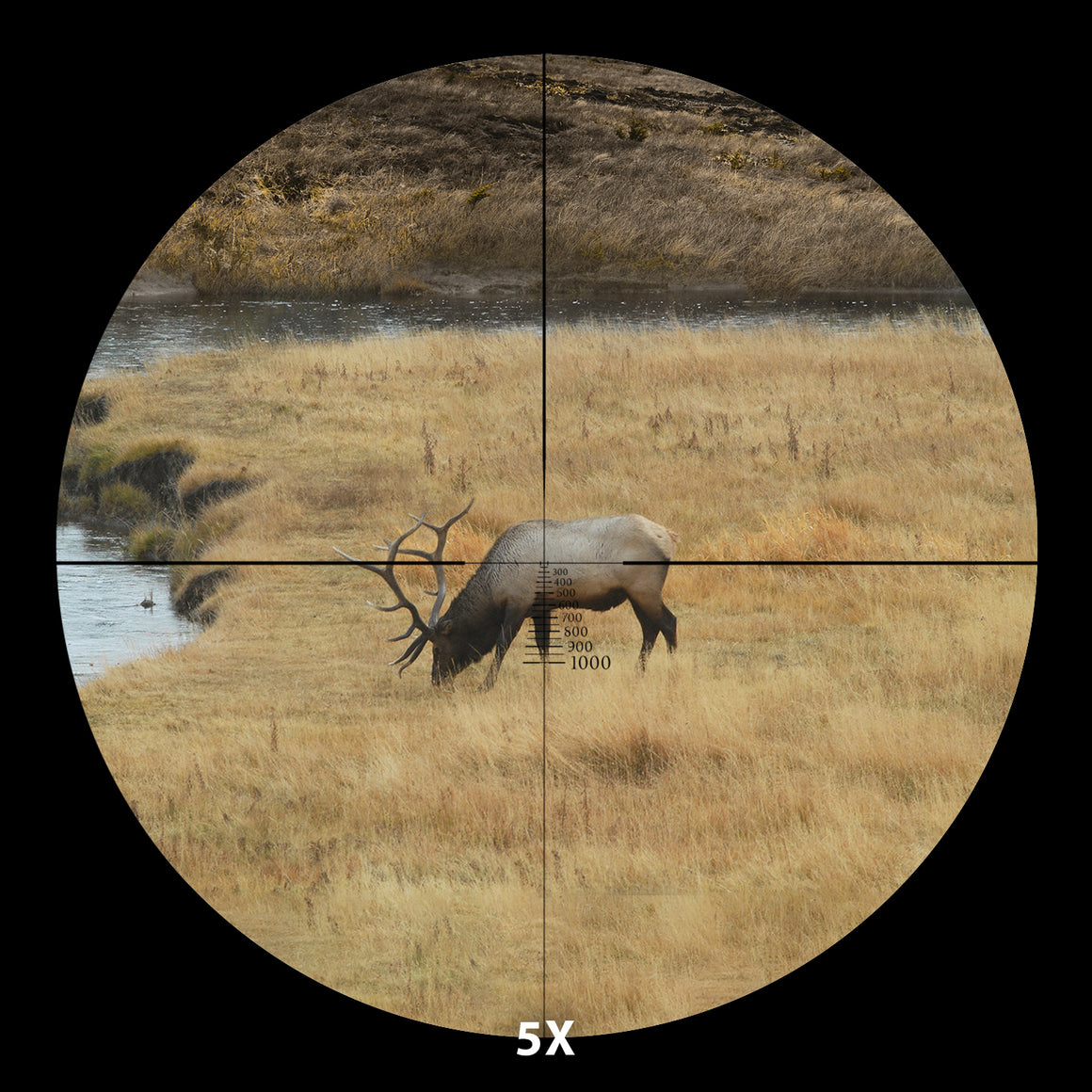 5-20X First Focal Plane Scope – Quigley-Ford